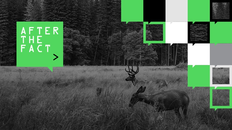 How Wildlife Corridors Protect Animals and People | The Pew Charitable ...