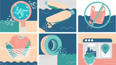 Top 7 Reasons to Curb Microplastic Pollution | The Pew Charitable Trusts