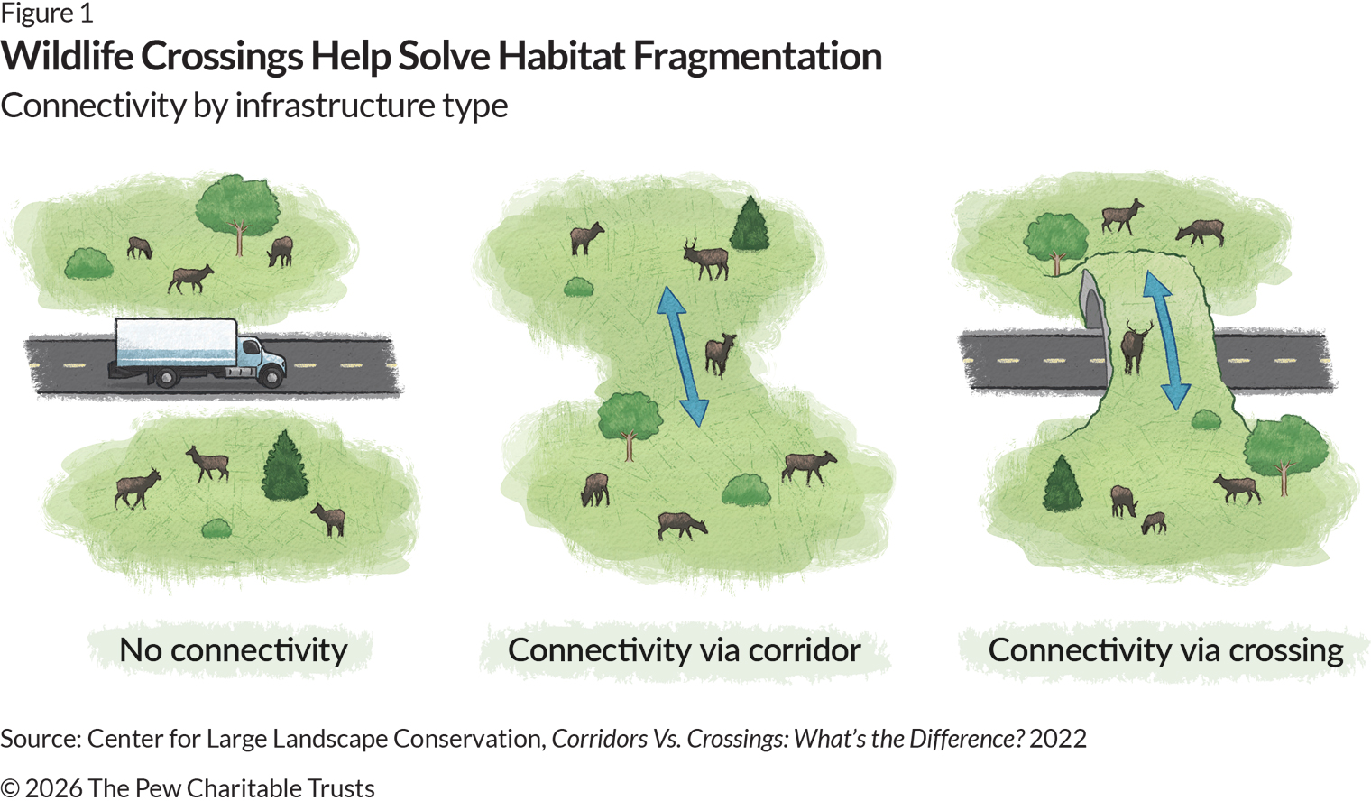 Wildlife Crossings Save Lives, Cut Costs, and Protect Animals | The Pew ...