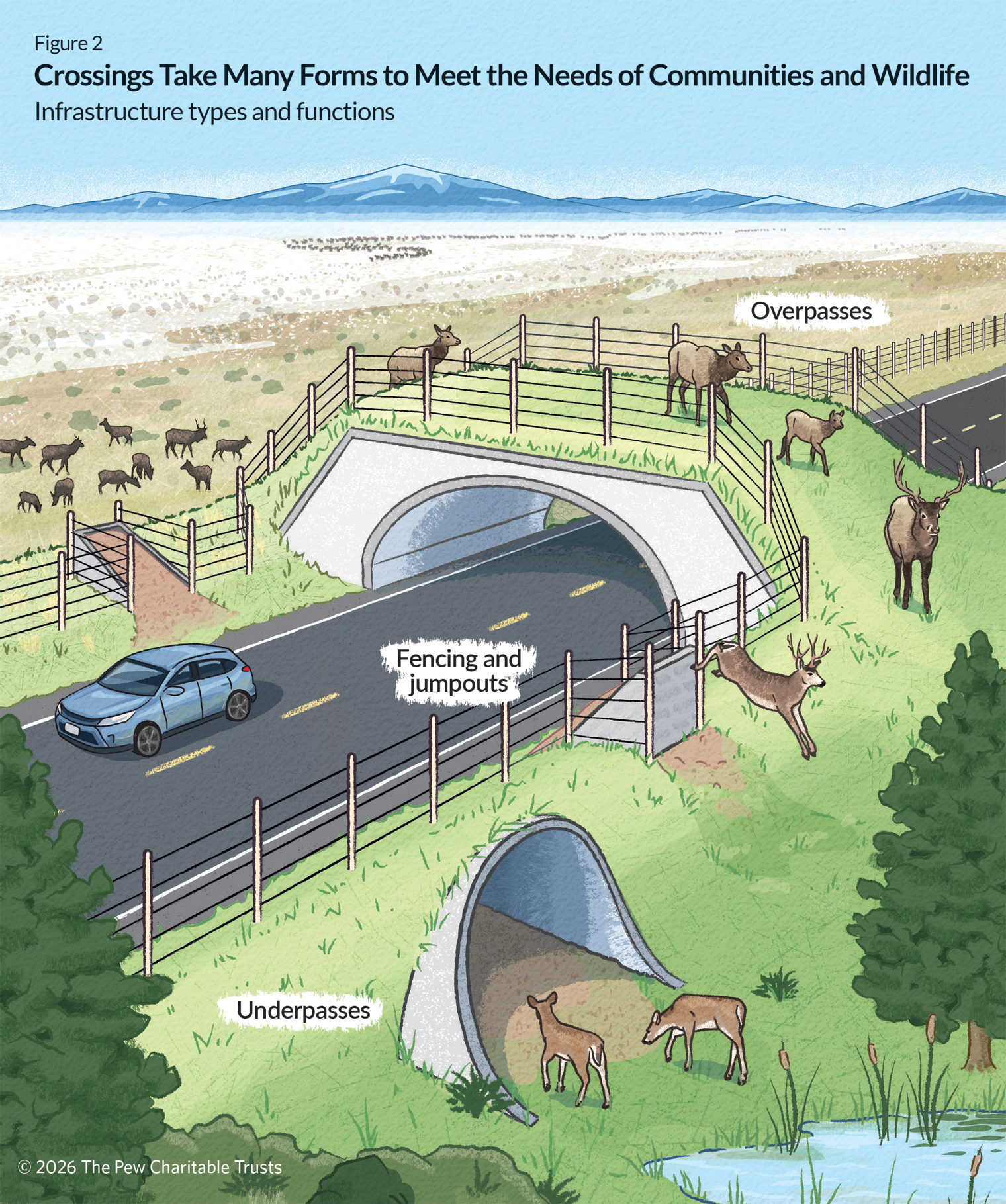 Wildlife Crossings Save Lives, Cut Costs, and Protect Animals | The Pew ...