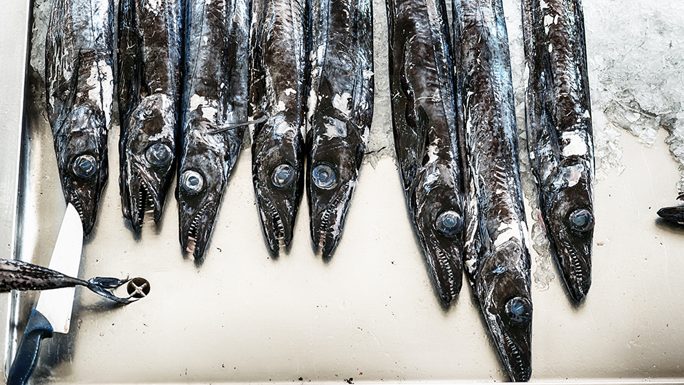 How Much Do You Know About EU Fisheries? | The Pew Charitable Trusts