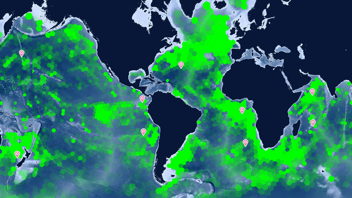 Protecting Ocean Life on the High Seas | The Pew Charitable Trusts