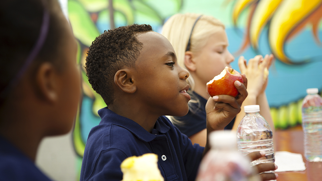 Kids' Safe and Healthful Foods Project | The Pew Charitable Trusts
