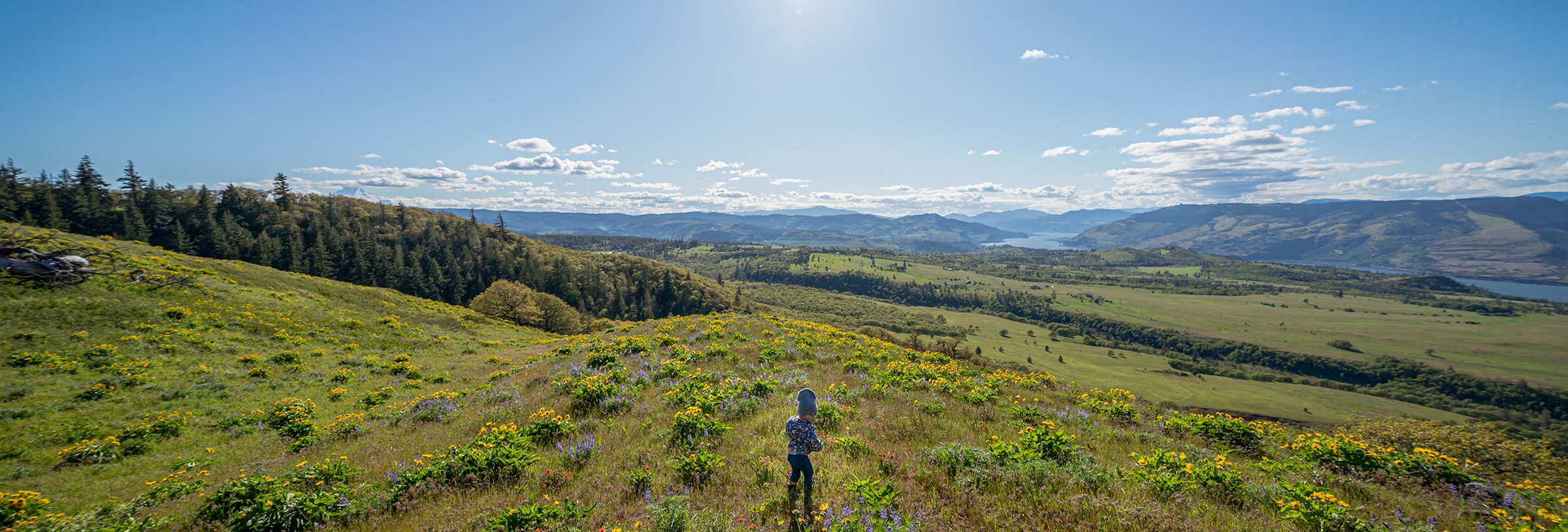 U.S. Conservation | The Pew Charitable Trusts