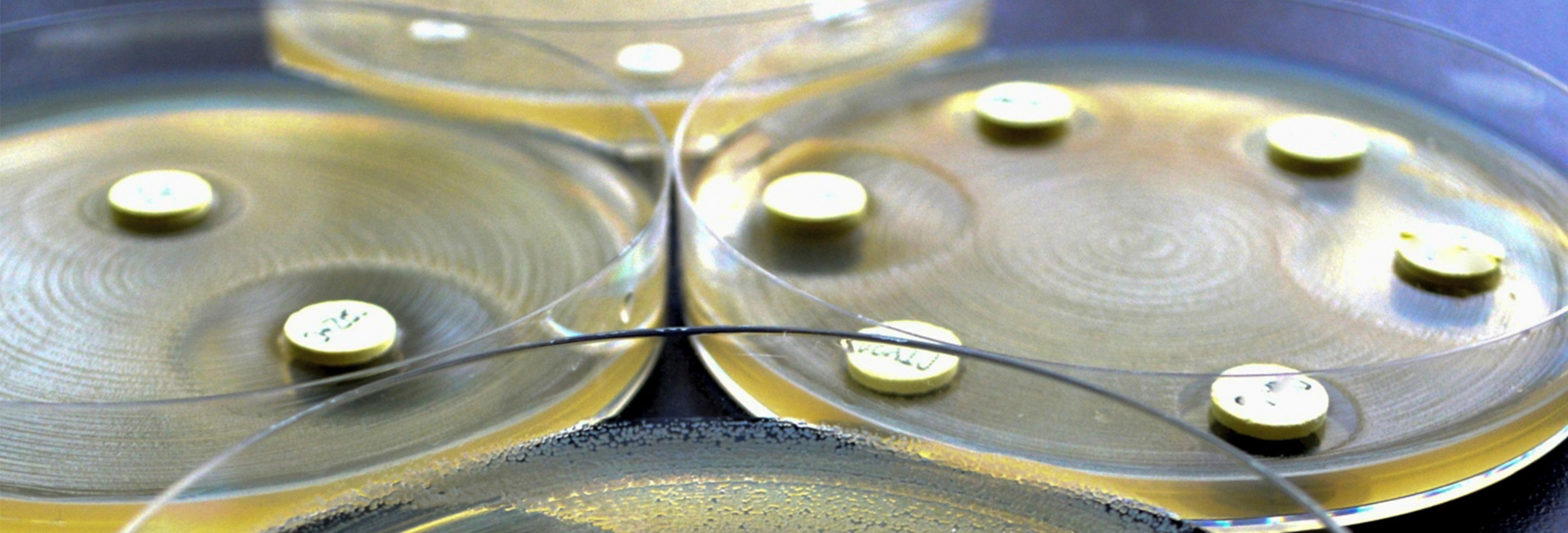 Antibiotic Resistance Project | The Pew Charitable Trusts