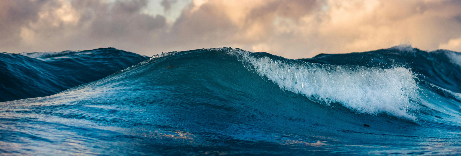 Ocean Governance | The Pew Charitable Trusts