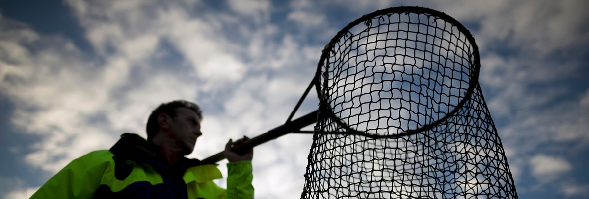 Marine Finfish Aquaculture Standards Project | The Pew Charitable Trusts