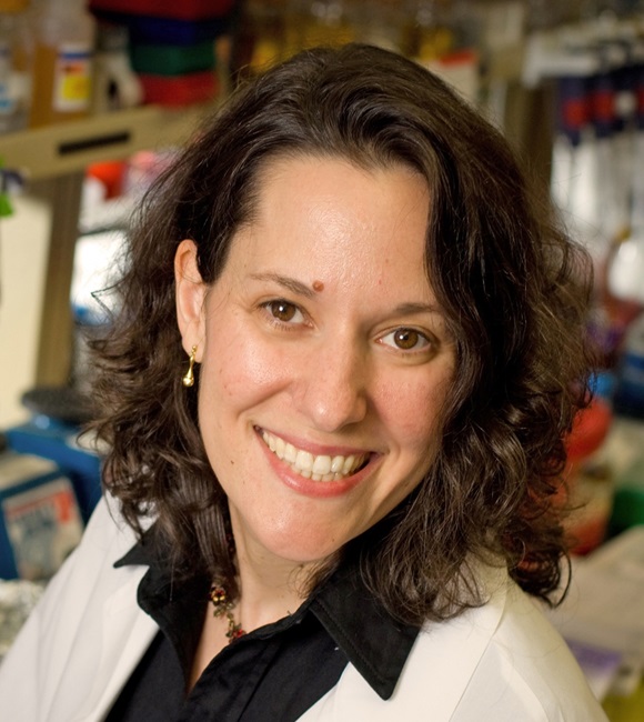 Brenda A. Schulman, Ph.D. | The Pew Charitable Trusts