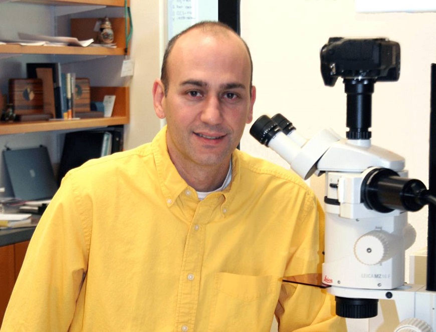 Steven A. Farber, Ph.D. | The Pew Charitable Trusts