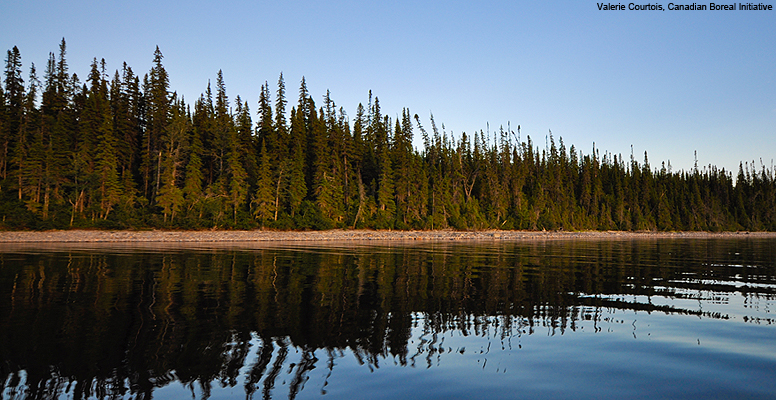 Progress Made: The Pew Environment Group Celebrates Recent Conservation ...