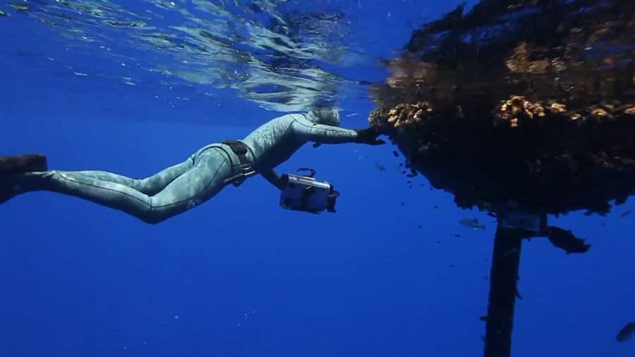 Fish Aggregation Devices | The Pew Charitable Trusts