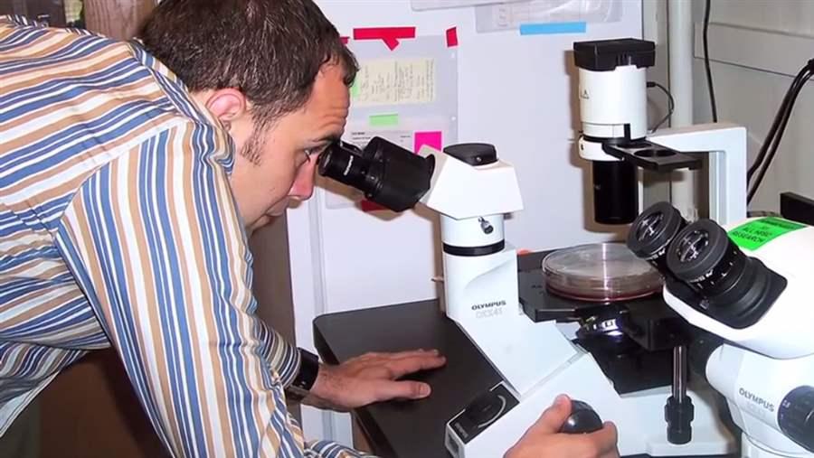 Dr. Benjamin tenOever: Profile of a Pew Scholar | The Pew Charitable Trusts