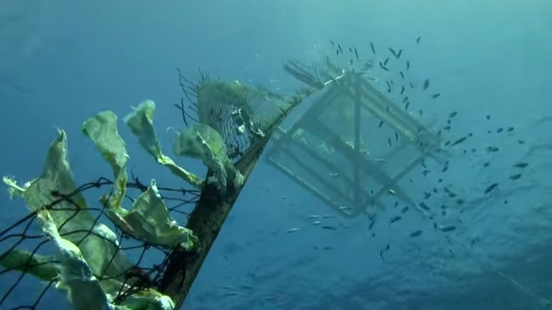 Fish Aggregation Devices | The Pew Charitable Trusts