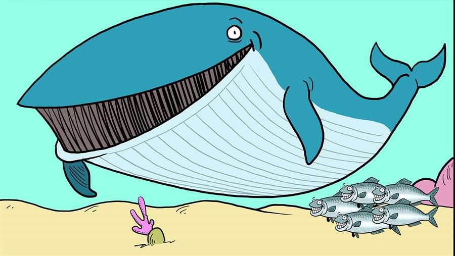 A Visual Glossary of Ocean Terminology | The Pew Charitable Trusts