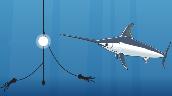 Catching Swordfish, Protecting Ocean Wildlife | The Pew Charitable Trusts