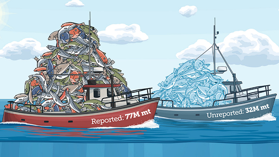 Catch Reconstruction: Finding the Missing Fish | The Pew Charitable Trusts