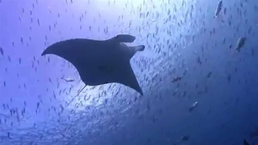 U.N. to Tackle Ocean Health and High Seas Protections | The Pew ...