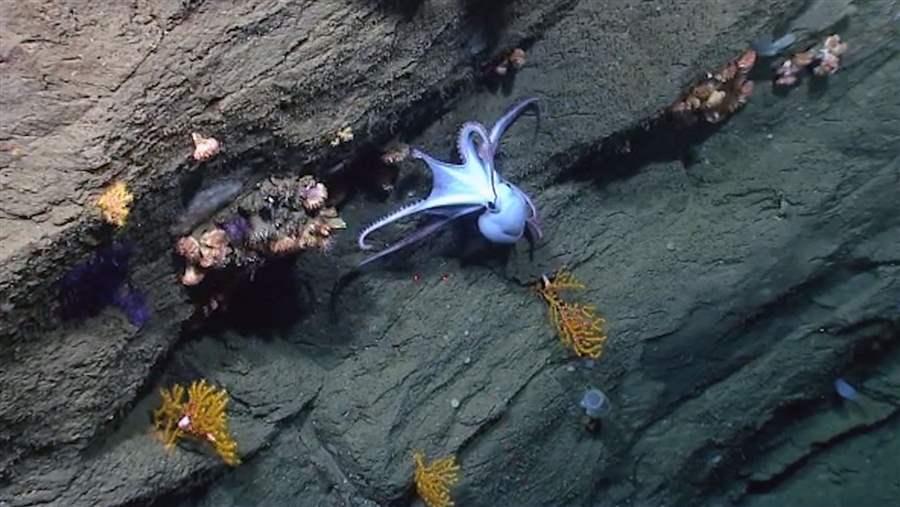First Marine National Monument Designated in the U.S. Atlantic Ocean ...