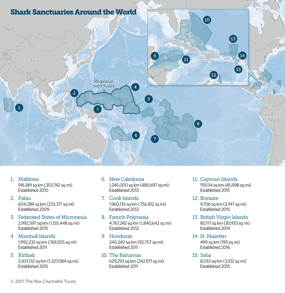 Shark Conservation Sees Global Gains in 2016 | The Pew Charitable Trusts