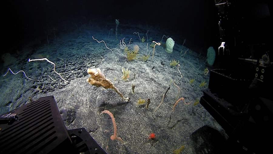 Deep Sea Mining: The Basics | The Pew Charitable Trusts