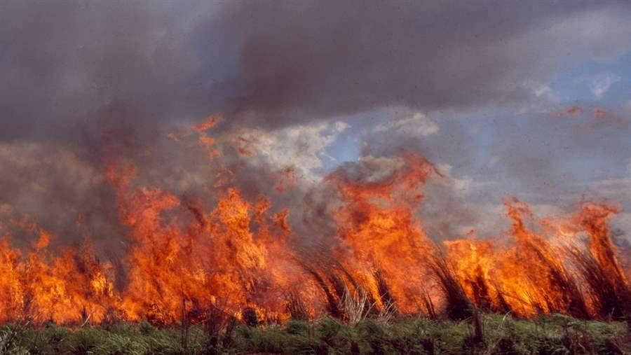 These 3 Steps Could Save the Australian Outback | The Pew Charitable Trusts