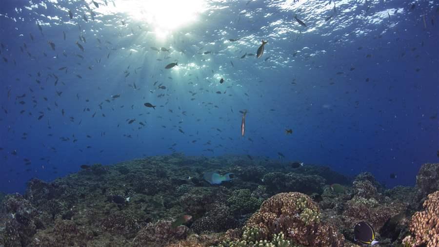 Waters Around Pacific Island Group Now Make Up Mexico’s Largest Fully Protected Marine Reserve ...