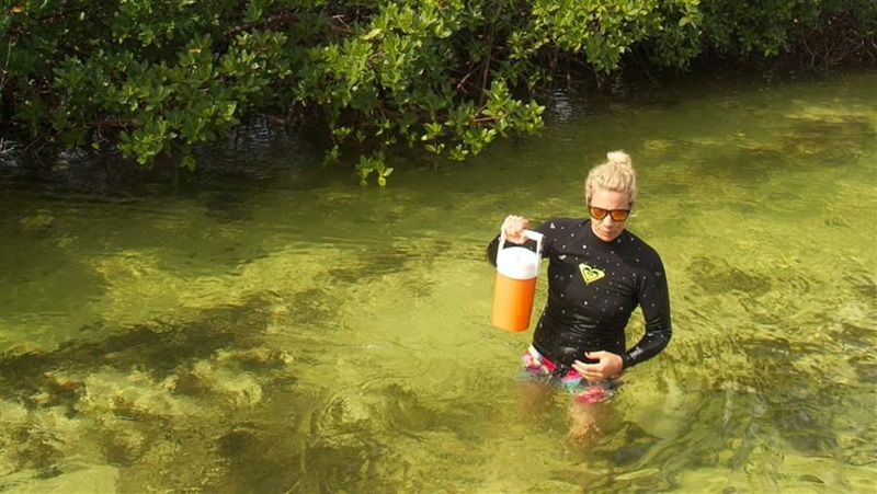 Sampling Ocean Waters for Species' DNA Shows Promise in Ecosystem ...