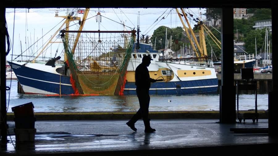 New Tool Helps Evaluate Risk of Illegally-Caught Fish Passing Through ...