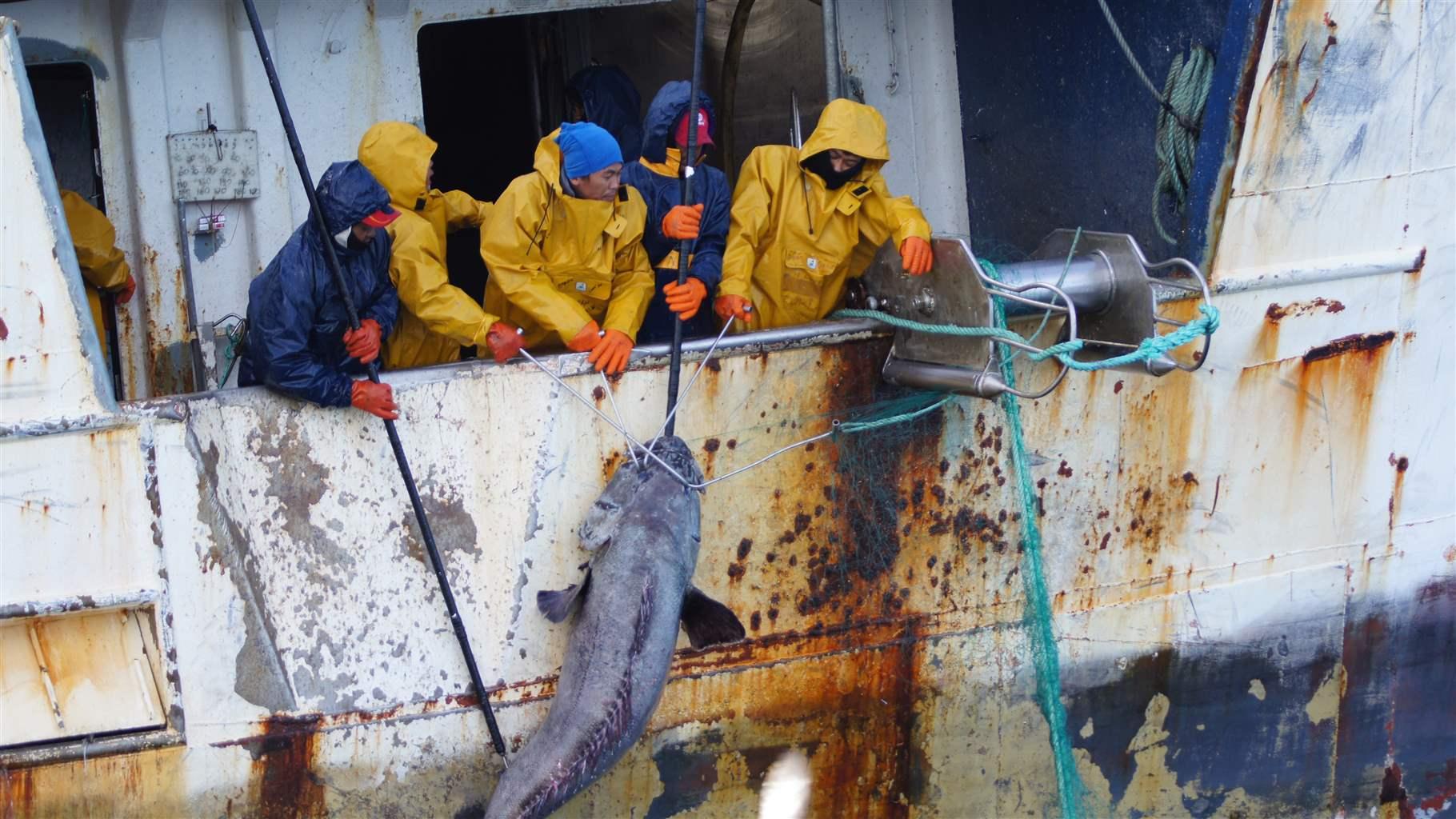 What Do You Know About Illegal Fishing? | The Pew Charitable Trusts