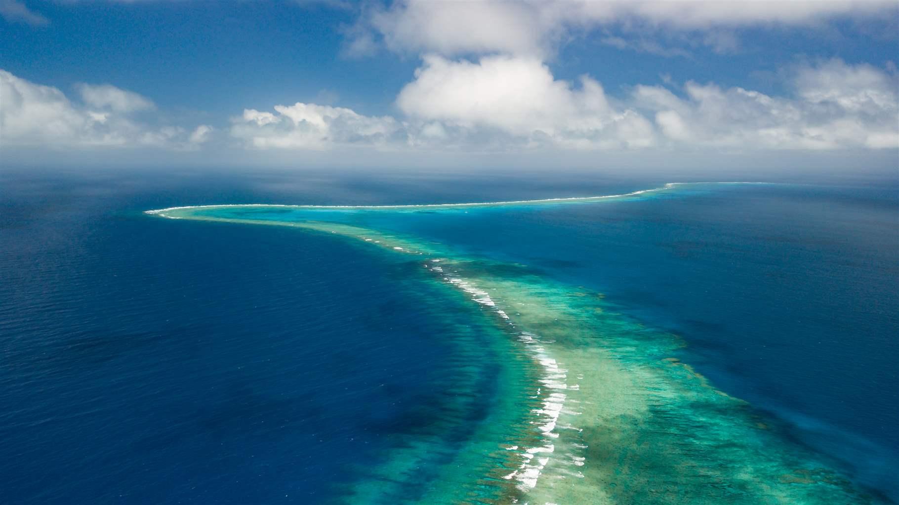 New Caledonia Protects Remote Reefs, Helping Thousands of Species | The ...