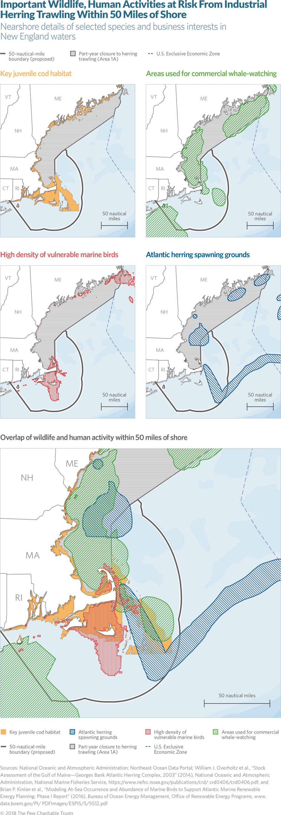 Atlantic Herring Deserve Protection Along New England’s Coast | The Pew ...
