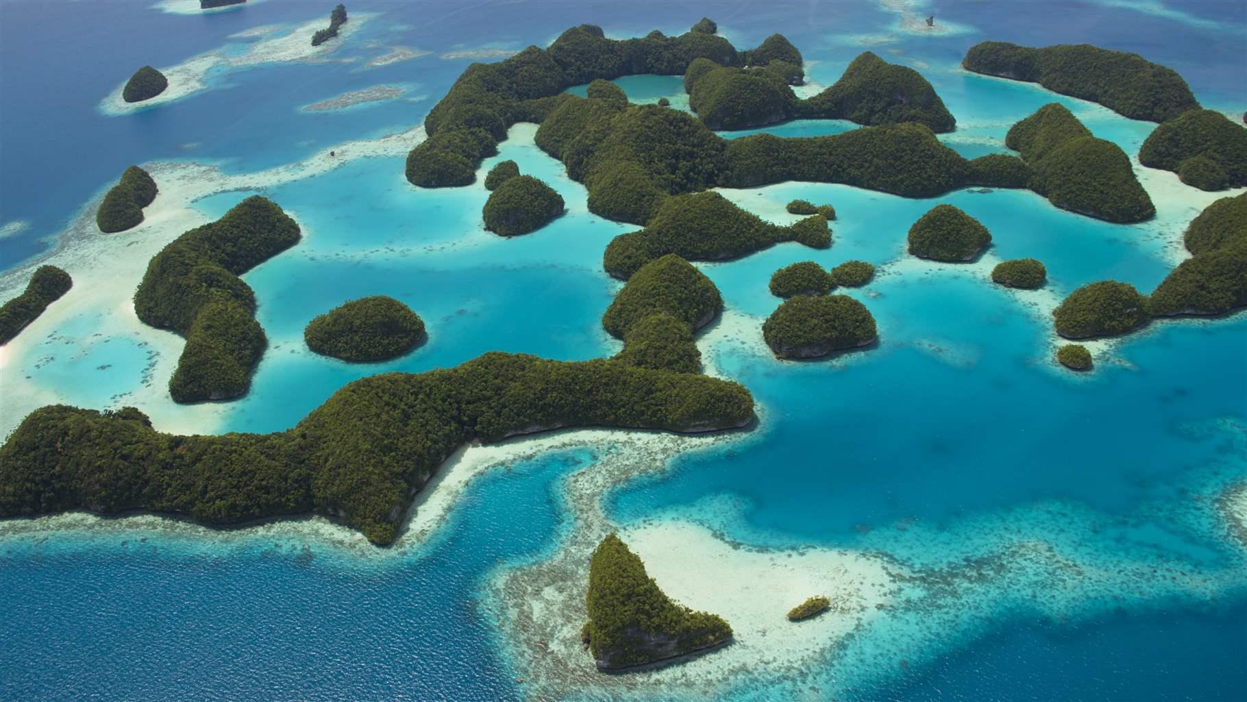 A Way to Safeguard Biodiversity, Bolster Fisheries, and Protect Ocean ...