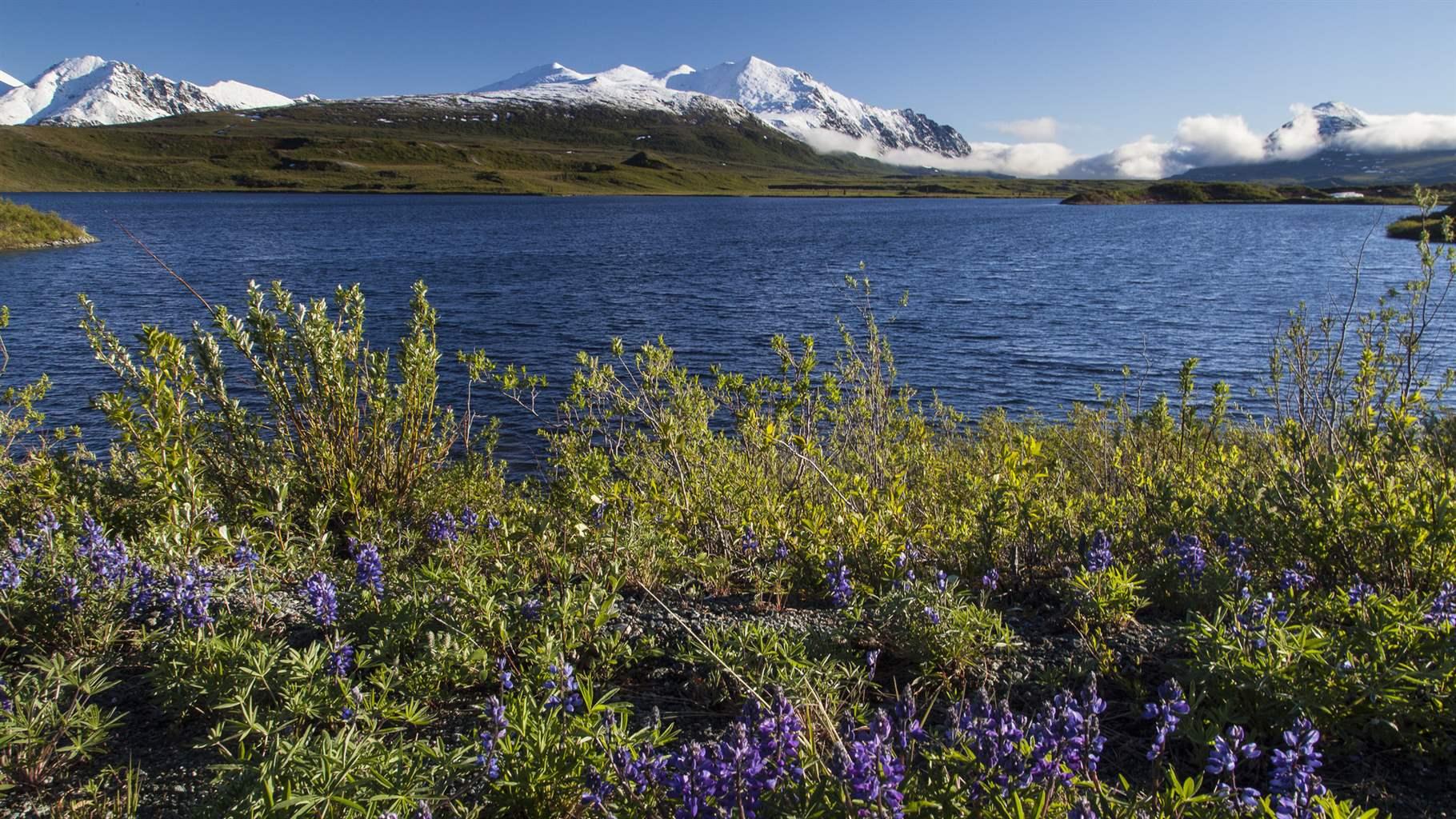 Alaska: The Economic Contributions of Hunting, Fishing, and Wildlife ...
