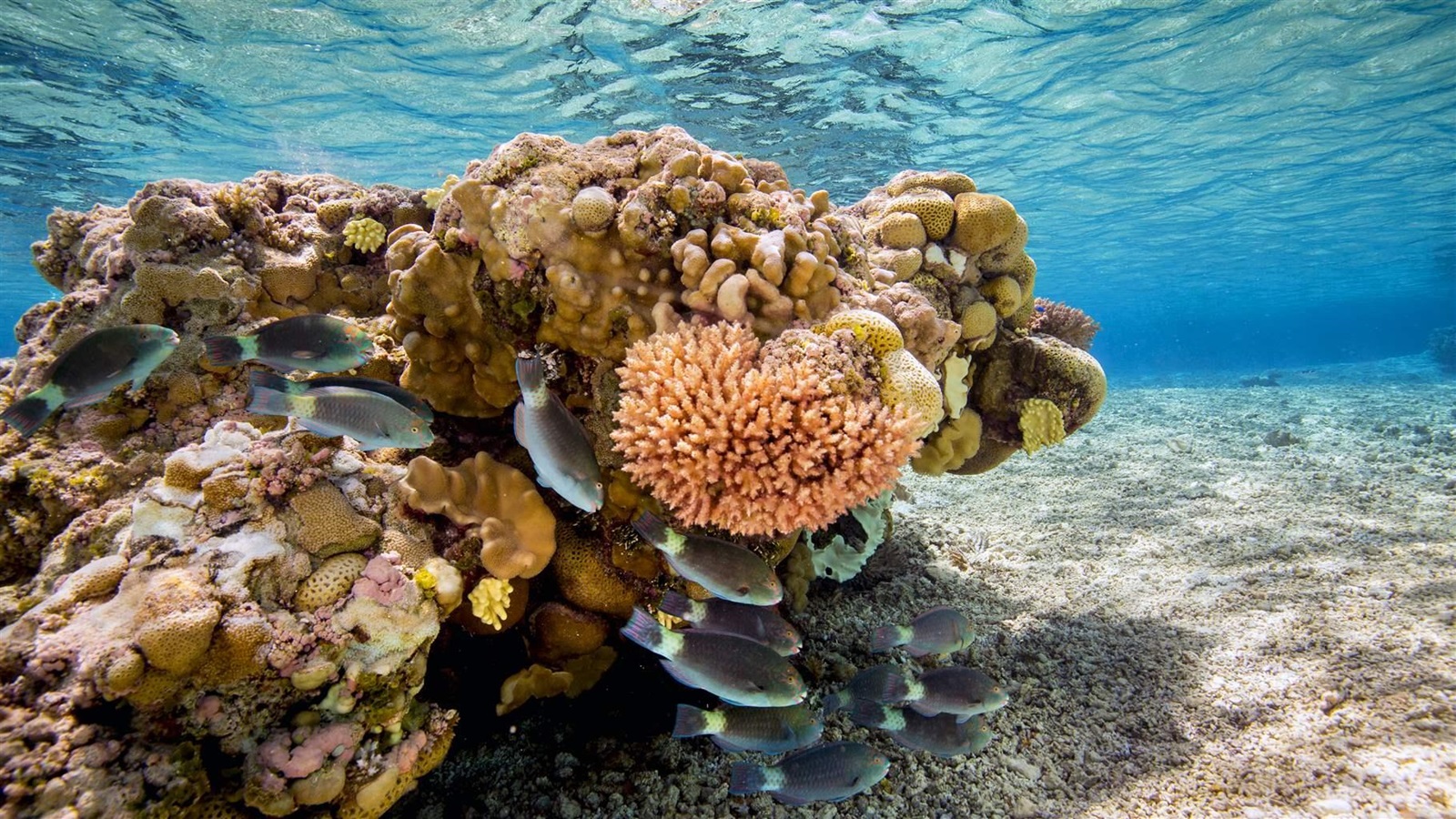 The Antiquities Act and America's National Monuments | The Pew ...