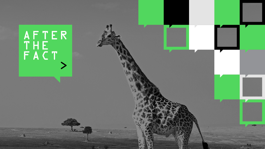 Scientists at Work: Why Are Giraffes Dying? | The Pew Charitable Trusts