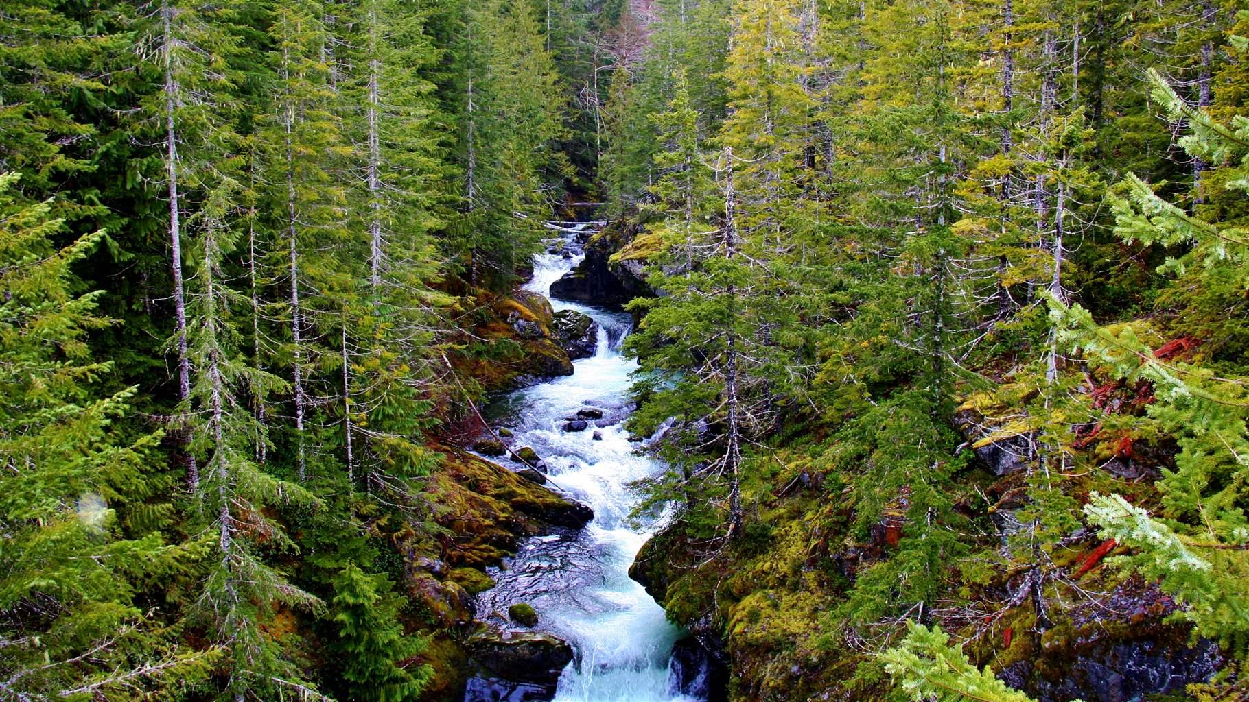5 Reasons the U.S. Needs Free-Flowing Rivers | The Pew Charitable Trusts