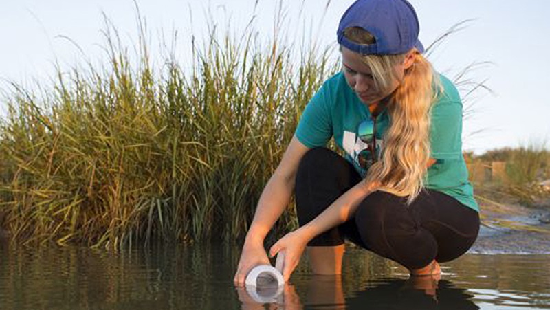 Seven Fun and Rewarding Things to Do in America’s Estuaries | The Pew ...