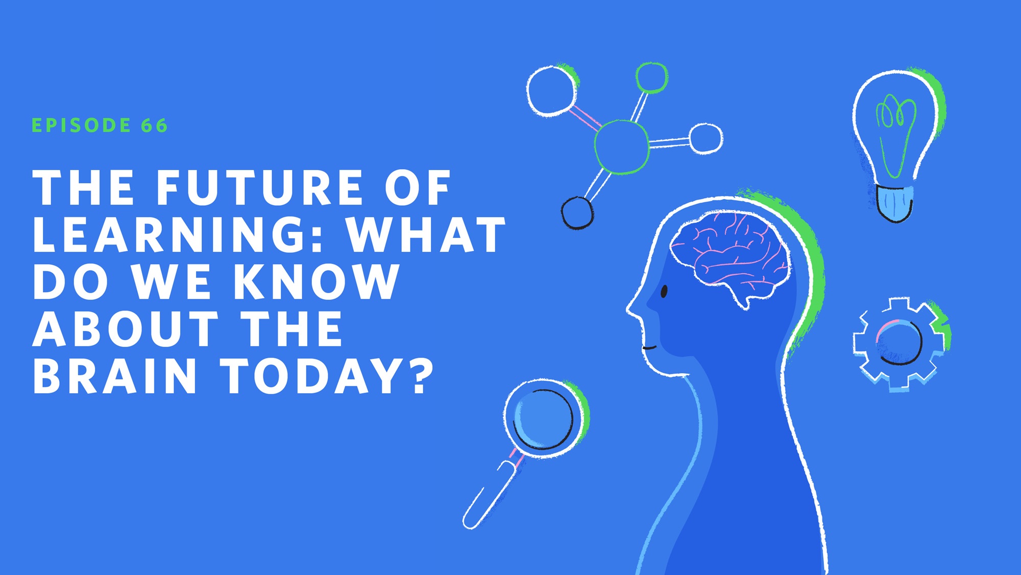 The Future of Learning: What Do We Know About the Brain Today? | The ...