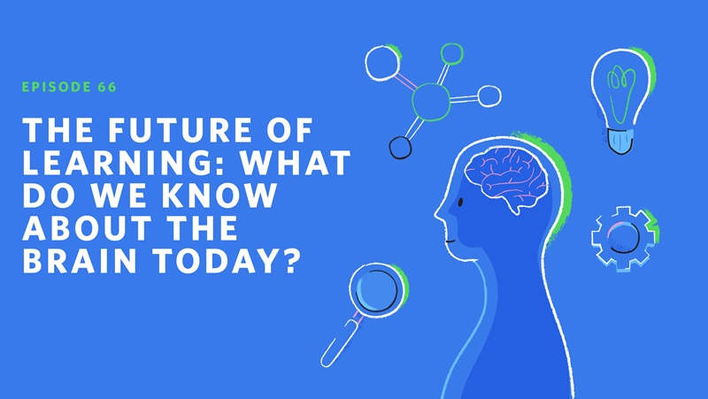 The Future of Learning: What Do We Know About the Brain Today? | The ...