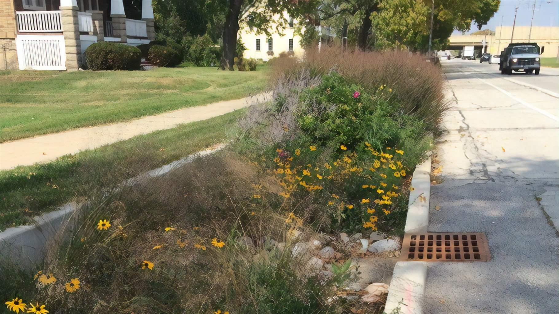 Milwaukee Uses Regulations to Support Nature-Based Solutions to Reduce ...