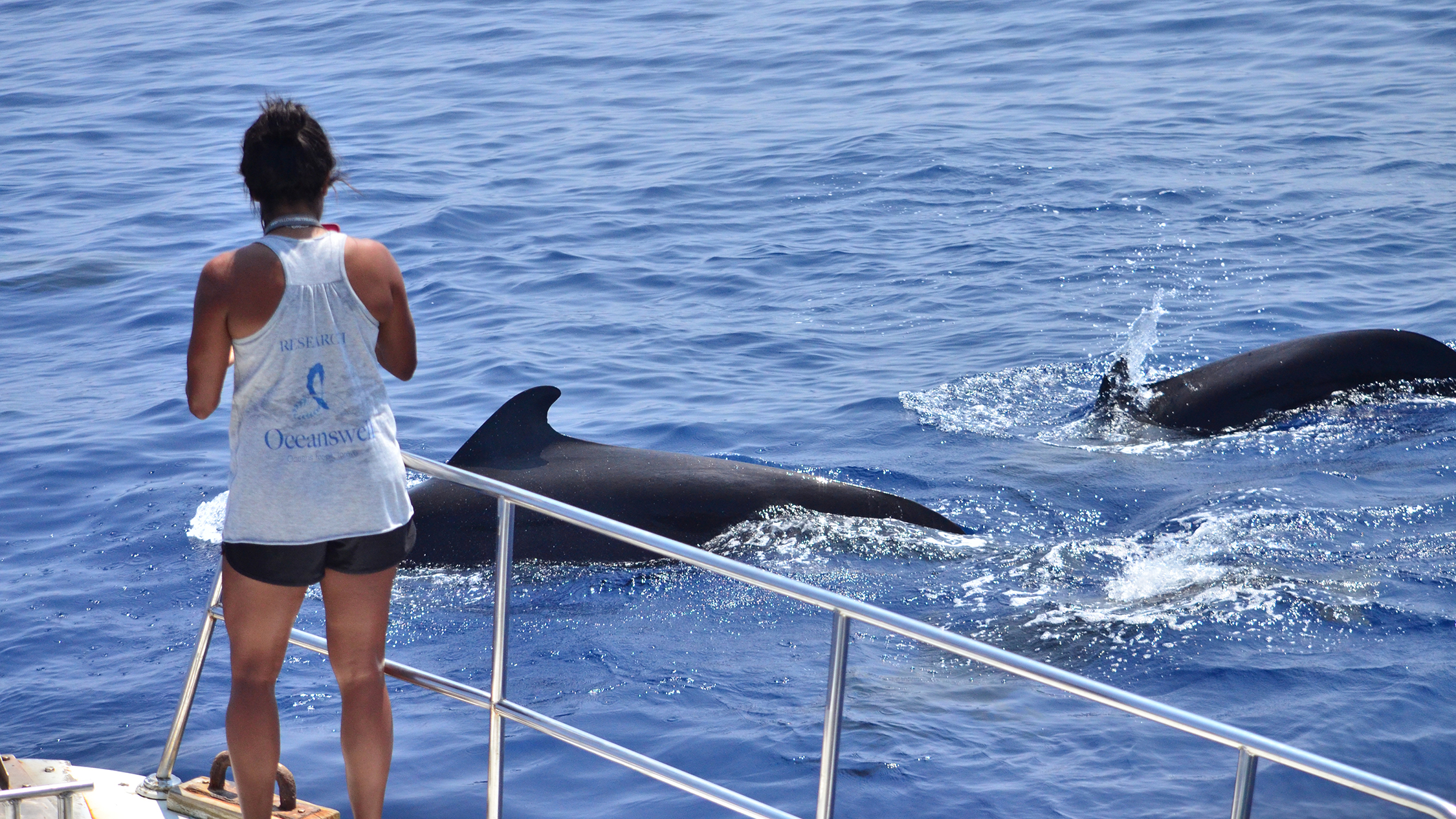 Scientists at Work: The Wonder of Blue Whales | The Pew Charitable Trusts