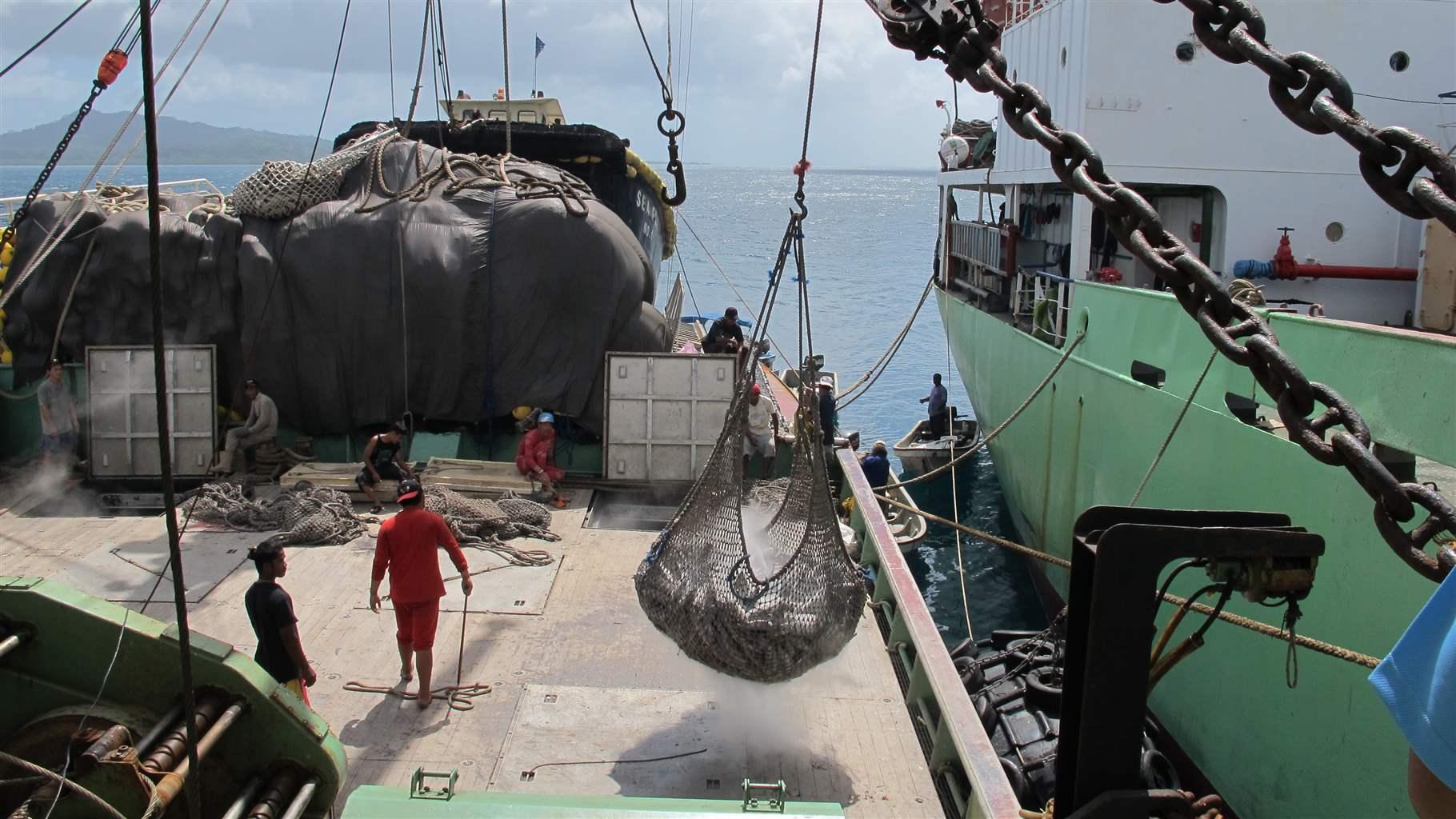Study Highlights Transshipment Problems, Solutions in World’s Biggest ...