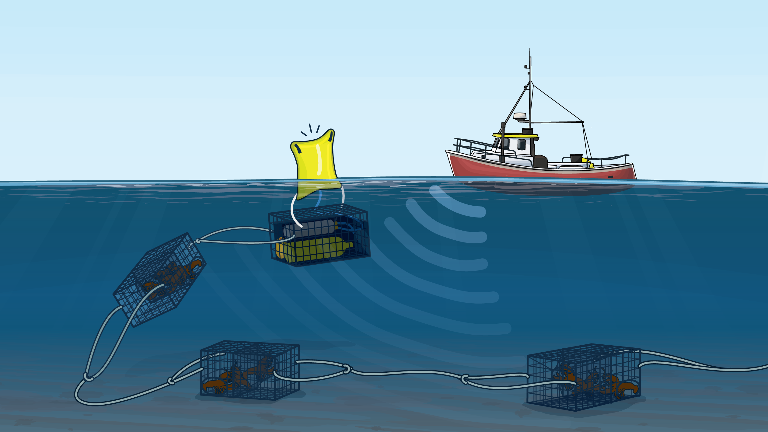 Ropeless Fishing Systems Offer Solutions for Both Fishermen and Marine ...