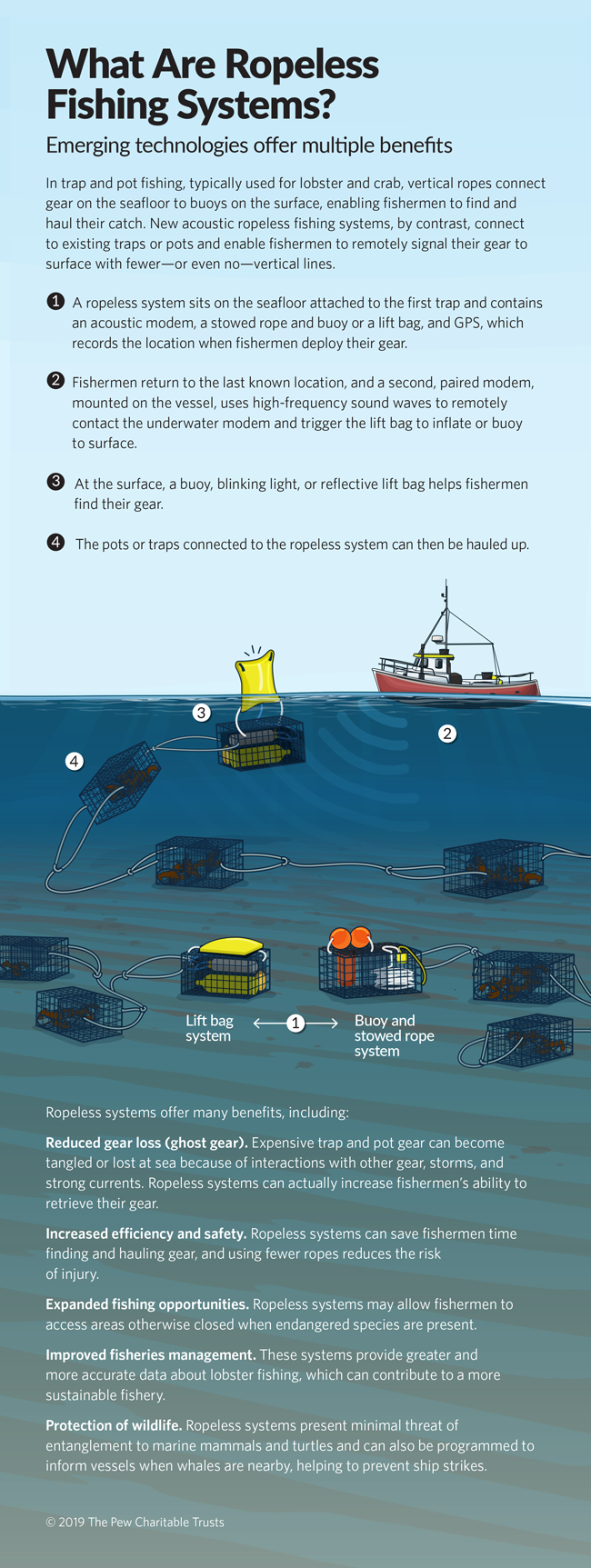 Ropeless Fishing Systems Offer Solutions for Both Fishermen and Marine ...