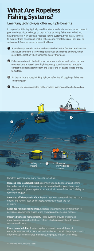 Ropeless Fishing Systems Offer Solutions for Both Fishermen and Marine ...