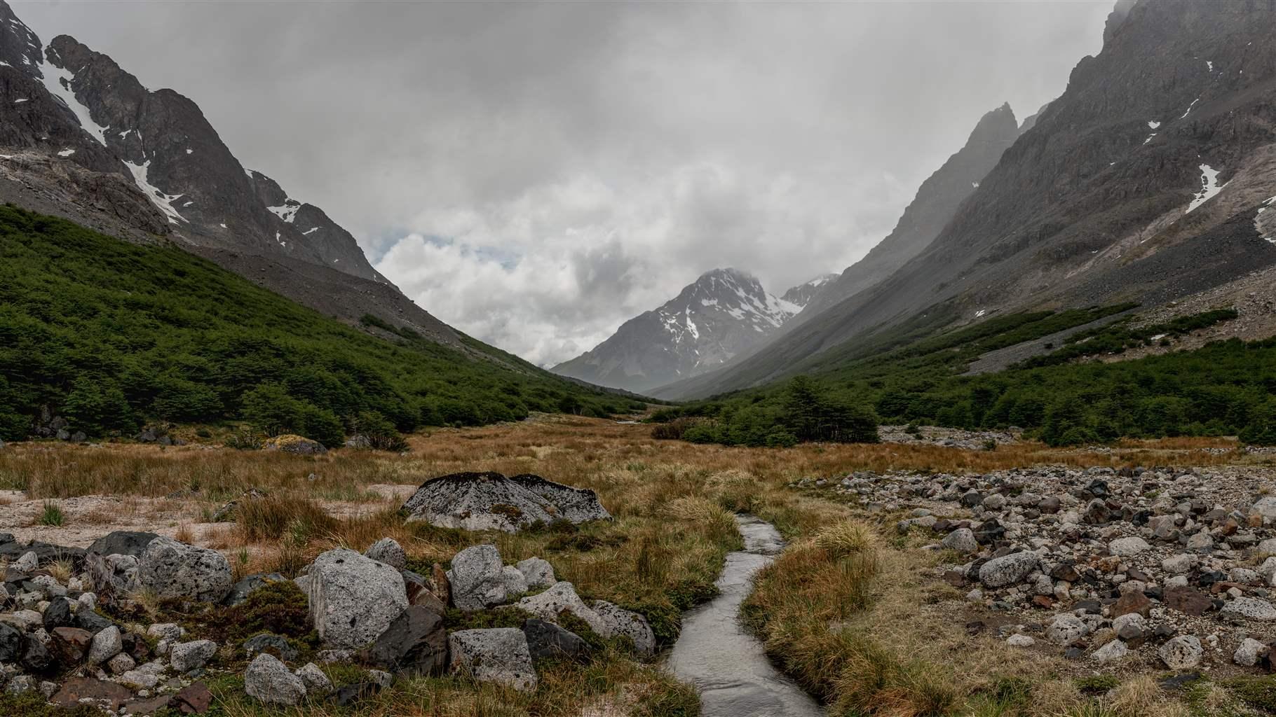 Chilean Patagonia: A Region of Global Ecological Importance and a ...