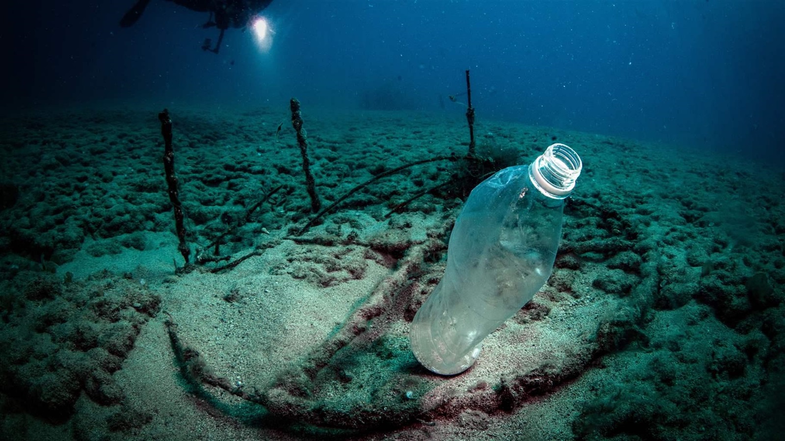 Ocean Plastic Pollution—and Solutions to This Problem—Can Come in Many ...