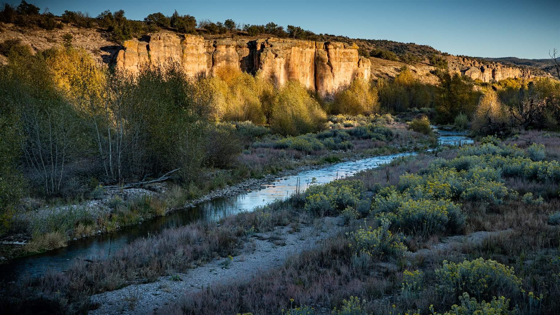 In Pacific Northwest, Restoring Salmon Migration Routes Would Carry Big ...