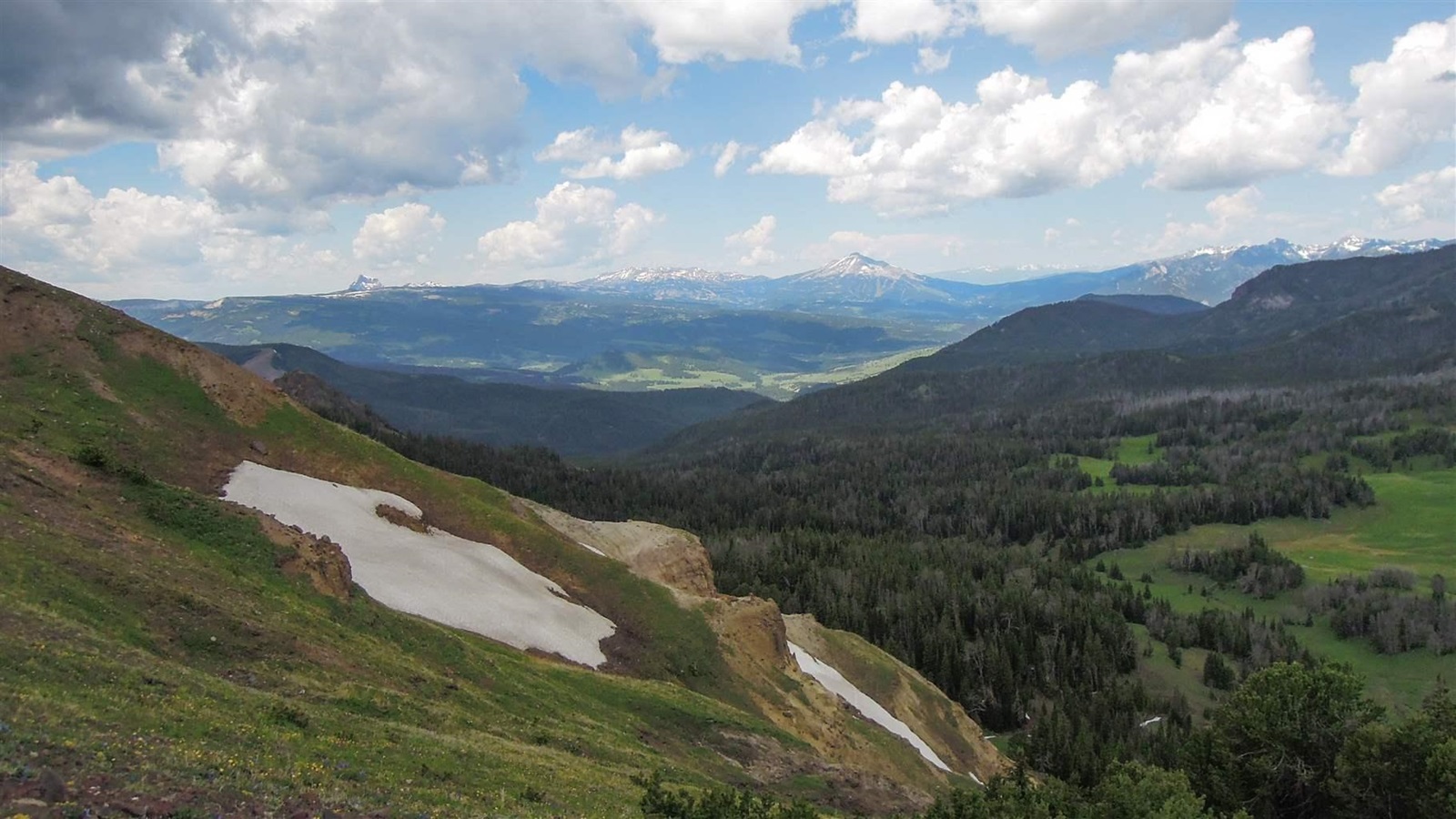 Tribes and Wildlife Would Benefit Under Custer Gallatin National Forest ...