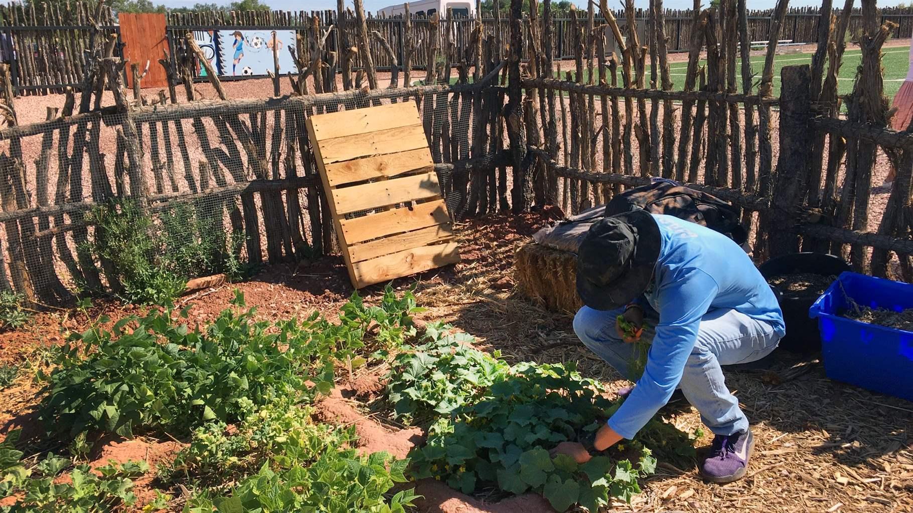 Indigenous Communities Need Program Evaluations That Reflect Their ...